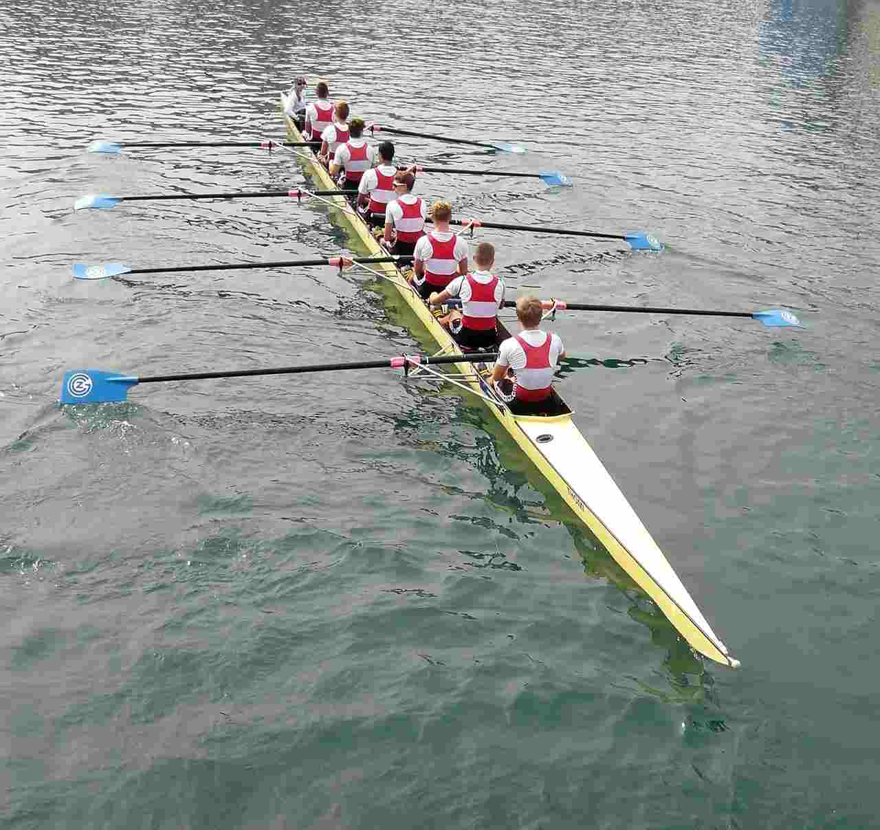Types Of Rowing Machines You Need To Know Before Buying One Types Of Rowing Machines You Need To Know Before Buying One